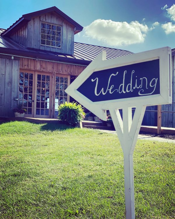 Taylor & Brody's Wedding + Reception / The Vineyard of Mary's Meadow ...